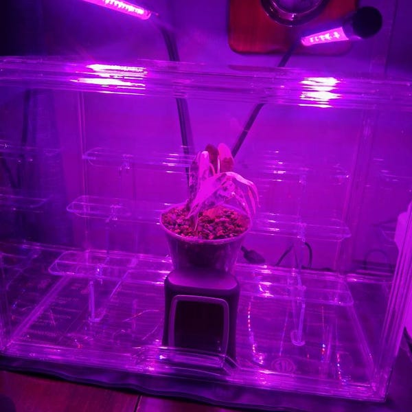Mini Greenhouse L | Acrylic Clear Plant Propogation Box | With ...
