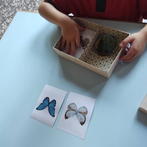 Butterfly Matching Cards, Montessori Materials Printable, Toddler ...