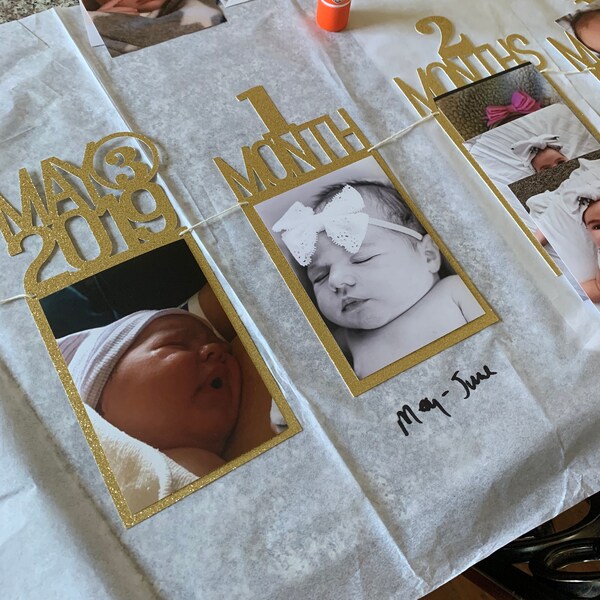 First Birthday Photo Banner, First Birthday Banner, 1st Year Photo ...