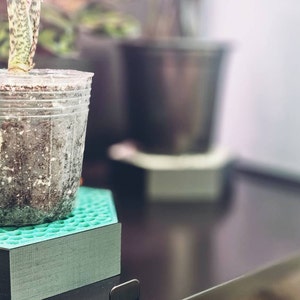 Pebble Tray for Plants pre-washed Pebbles Included - Etsy