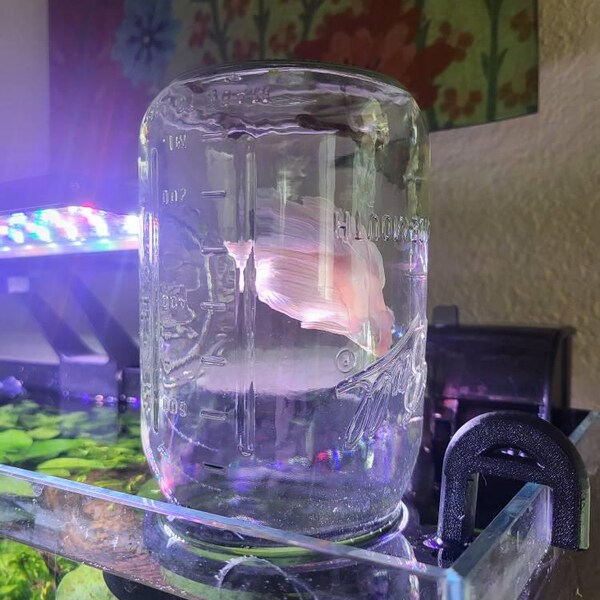 Justponics Mini Bell Siphon V3 (set of 2) - Etsy