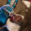 Bow Tie Pet Tag, Made to Size for Your Pet - Etsy
