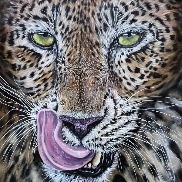 Callia Fine Super Round Brush Set - Etsy