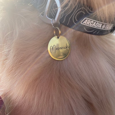 Swivel Clasp Easy Dog Tag Changer Dog Collar Id Tag Clip or Lobster ...