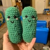 PATTERN ONLY, Easy Pickle Crochet Pattern, Instant DOWNLOAD - Etsy