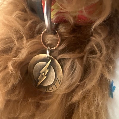 Letter a Dog Tag-pet ID Tag-unique Pet Tag-custom Hand Crafted Engraved ...