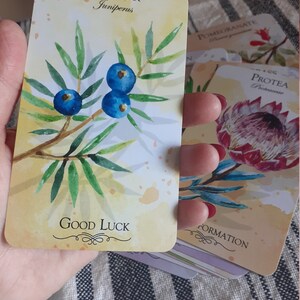 Botanical Messages Flower Oracle Deck Tarot Deck Floral BM - Etsy Canada