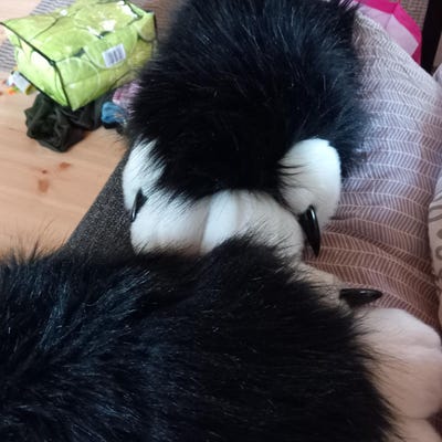 Toony Footpaw Fursuit Kemono Toony Kigurumi Fursona Kawaii Outdoor Foot ...