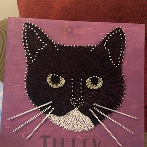 Bald Eagle String Art - Etsy