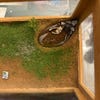 9pc Corpses Dead Body Scatter Terrain for Dnd Dungeons and Dragons ...