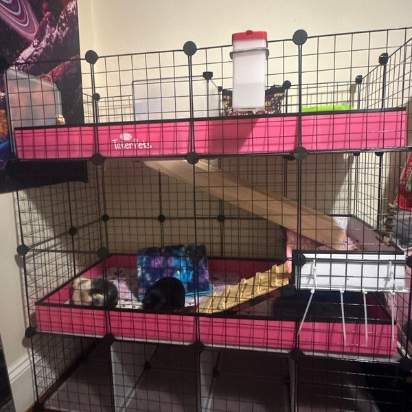 Small White Birch Sticks W/bark Set of 5 , 10 or 15 Small Pet Toy 6 ...