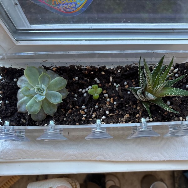 Suction Cup Window Planter - Long Triangular Window Box Style - 8" Long ...