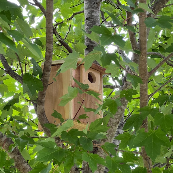 4 Handmade Cedar Bluebird Bird House Nesting Boxes Easy to Open and ...