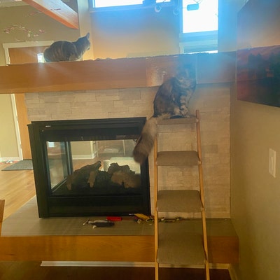Cat Ladder 3 Step Cherry Hardwood Handcrafted High-quality Ladder for ...