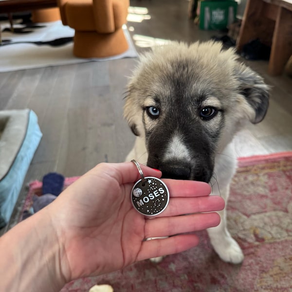 Luna Dog Tag, Pet ID Tag, Personalized Dog Tag, Microchip Pet Tag ...
