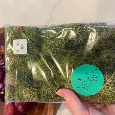 Star Moss Tortula Ruralis - Etsy