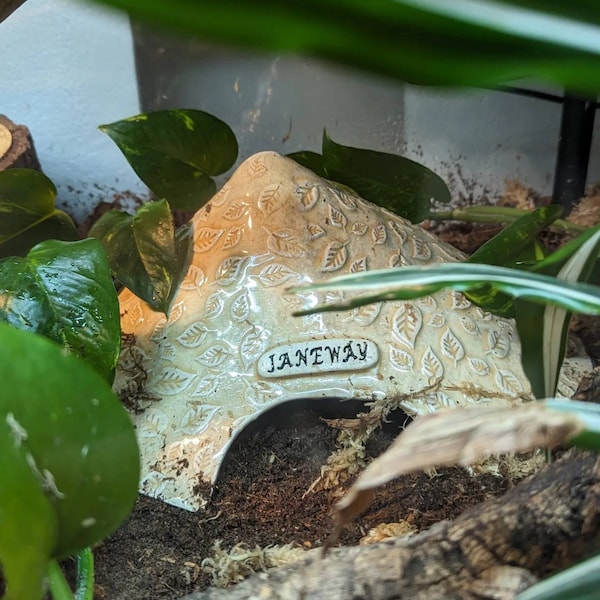 Handmade/toad Hotel/toad Inn/ Toad Home/toad Abode/toad Hut/ceramic ...