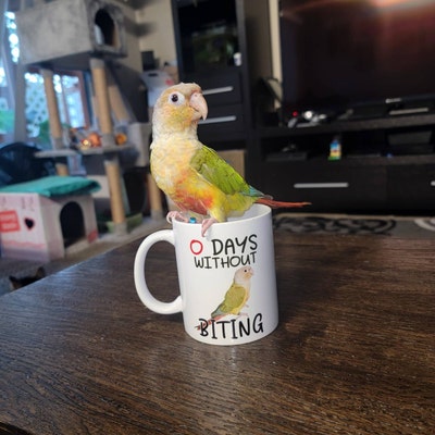 Sun Conure Mug, Sun Conure Raptor Mug, Sun Conure Mother Mom Father Dad ...