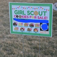 Printable Girl Scout Snack Sign-up Sheet editable Version - Etsy Canada