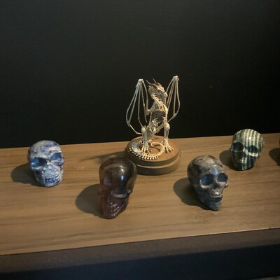 Sphinx Skeleton, Curiosity Cabinet - Etsy