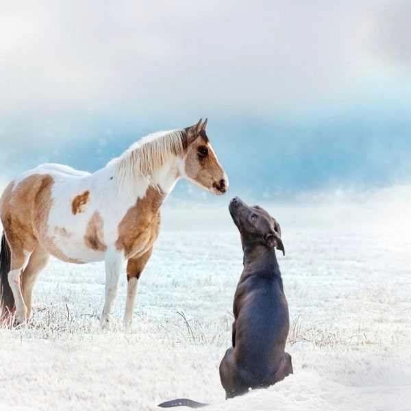 Old Master Background Grunge Background Picture Backdrop Portrait ...