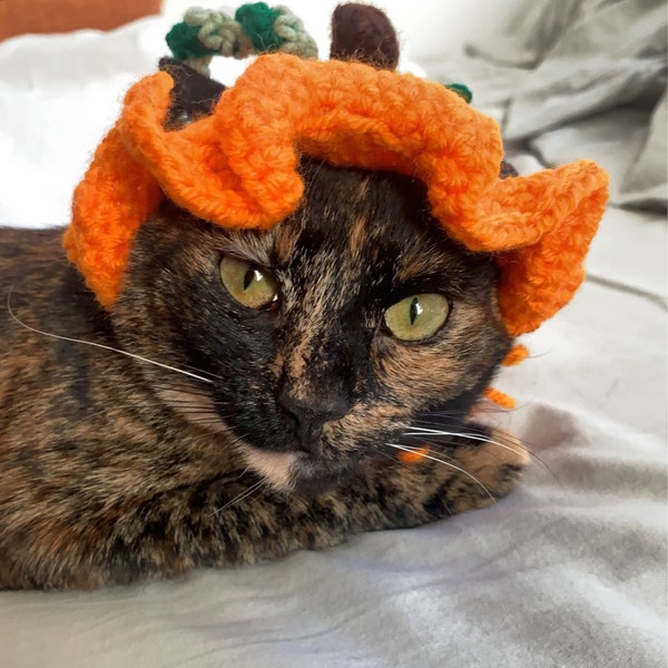 Crochet Cat Witch Hat Pattern - Etsy