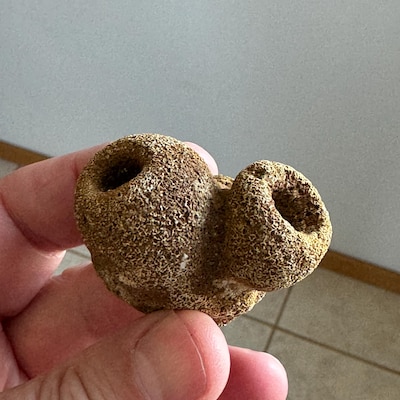 Authentic Majungasaurus Dinosaur Claw Fossil Cretaceous Maevarano ...