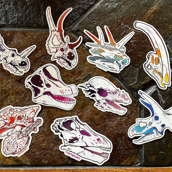 Herbivore Dinosaur Skull Stickers: Clear Vinyl Decals - Etsy