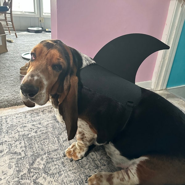 ORCA Fin for Your Large Dog. Killer Whale Fin for Your Large Dog - Etsy