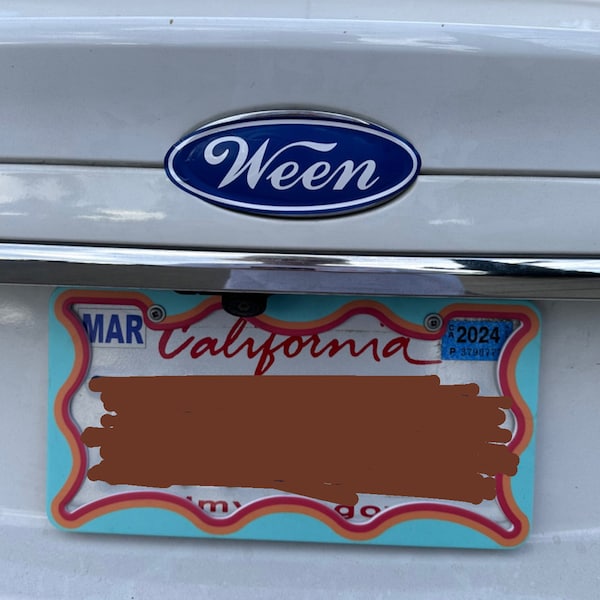 WEEN STALLION Decal - Etsy