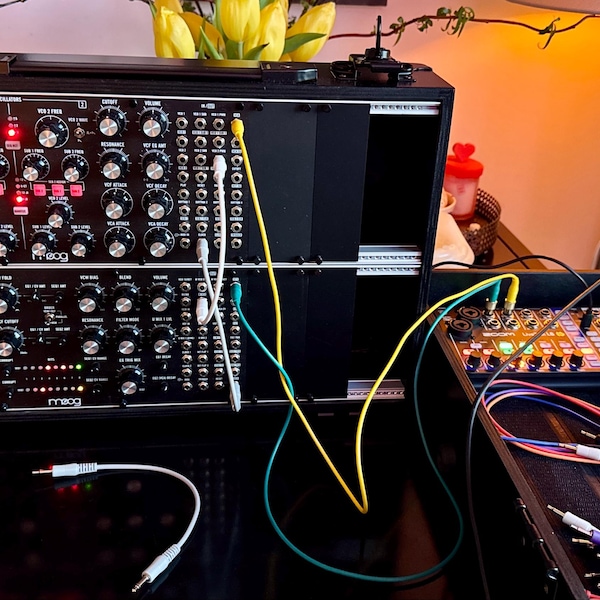 Eurorack Case 3u Powered - Etsy