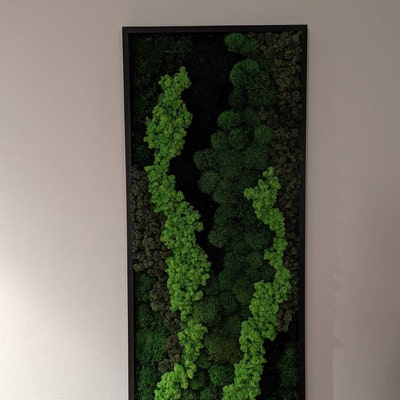 Make Your Own Moss Art DIY Moss Wall Kit Round Moss Art - Etsy