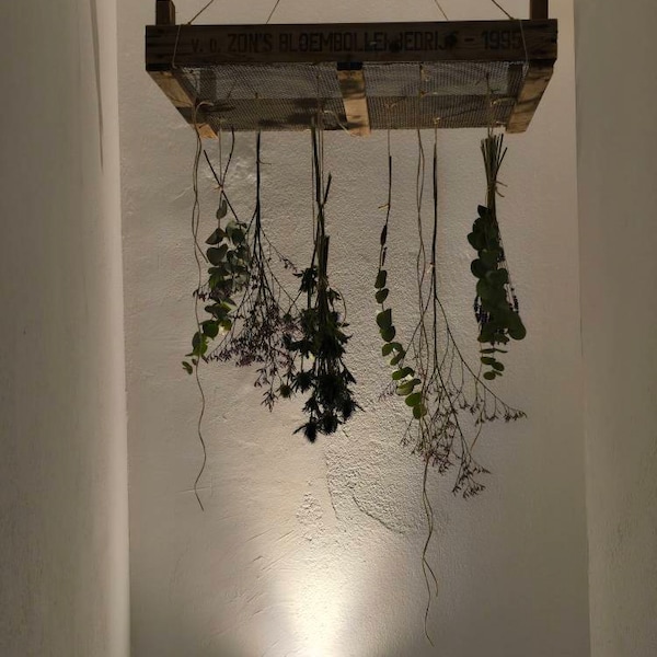 Mini Garden Chive miro Complete Growing Kit for Fresh Wild Chive ...