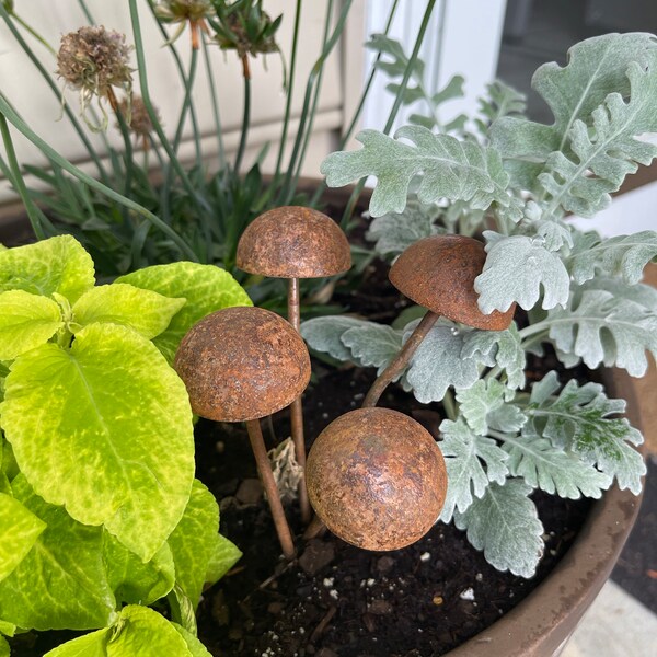 Large Metal Poppy Seed Heads. Rusted Sculptures for the Garden. Garden ...