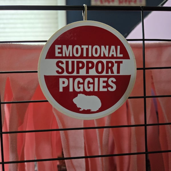 Bearded Dragon Candy Corn Costume Sweater, Halloween Lizard Sweater ...