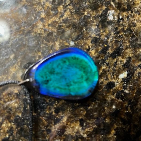 Detroit TS Eras Confetti Preserved in 3 Sphere With or Without Light ...