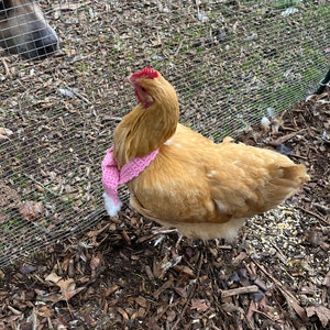 Crochet Pattern Bonnet for Chickens Sunday Bonnet Little - Etsy