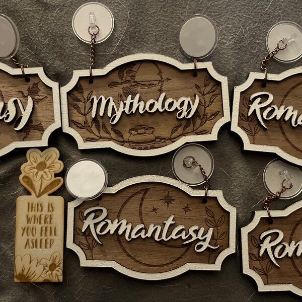 Romantasy Bookcase Sign, Romantasy Bookshelf Sign, Wooden Bookish ...