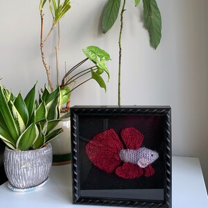 Betta Fish Crochet Amigurumi Pattern PDF - Etsy