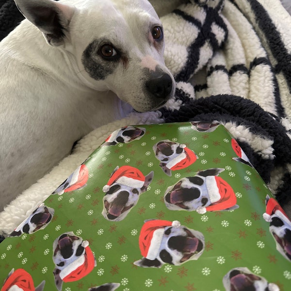 Pet Custom Christmas Gift Wrapping Paper, Puppy Custom Christmas ...