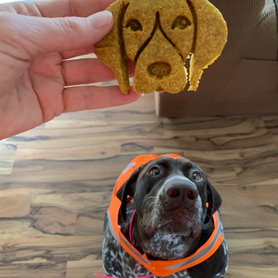 German Shorthaired Pointer Cookie Cutter German Pointer Dog Cutter - Etsy