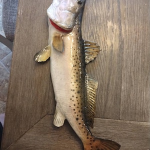 Tuna, Yellow Fin - Fish Mount - Fiberglass Taxidermy Replica - Half ...