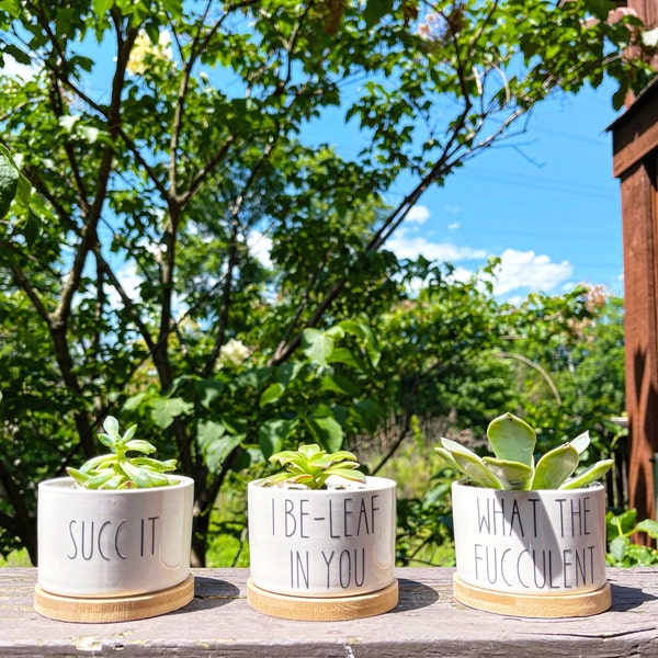 Grumpy Succulent Planters Multipack, Funny Small Plant Pots With ...