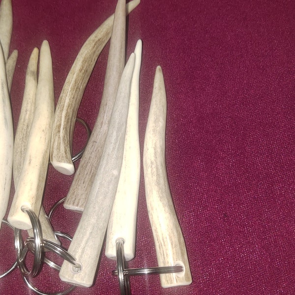 5" Real Deer Antler Guardian Key Ring Drilled Spike Antler Tip Tine ...