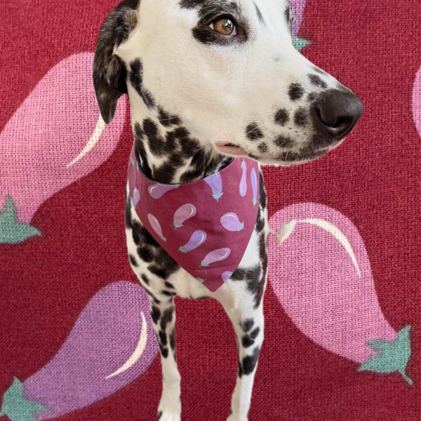 Fast Food Dog Bandana, Diner Reversible Curved Neck Snap On, Summer Pet ...