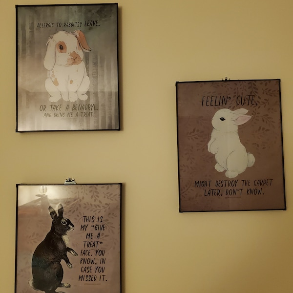 I'm Sorry, Art Print, Rabbit Art, Bunny Art, Charging Cord, Poster ...