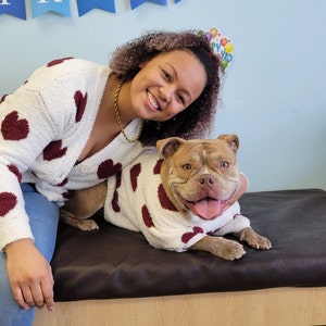 Matching Pet Owner Set Pets Cat Dog Parent Love Red Heart Shape Lover ...