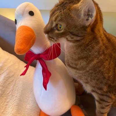 Goose Plush From the Untitled Goose Game, Unofficial, Video Game, Goose ...