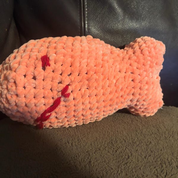 Colorful Fish Crackers Crochet Pattern - No-sew - Etsy