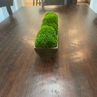 Handcrafted Preserved Moss Art in Metal Trough for Dining Table Nature ...